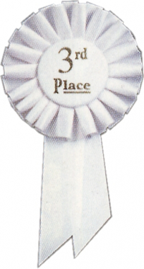 3rd Place Rosette